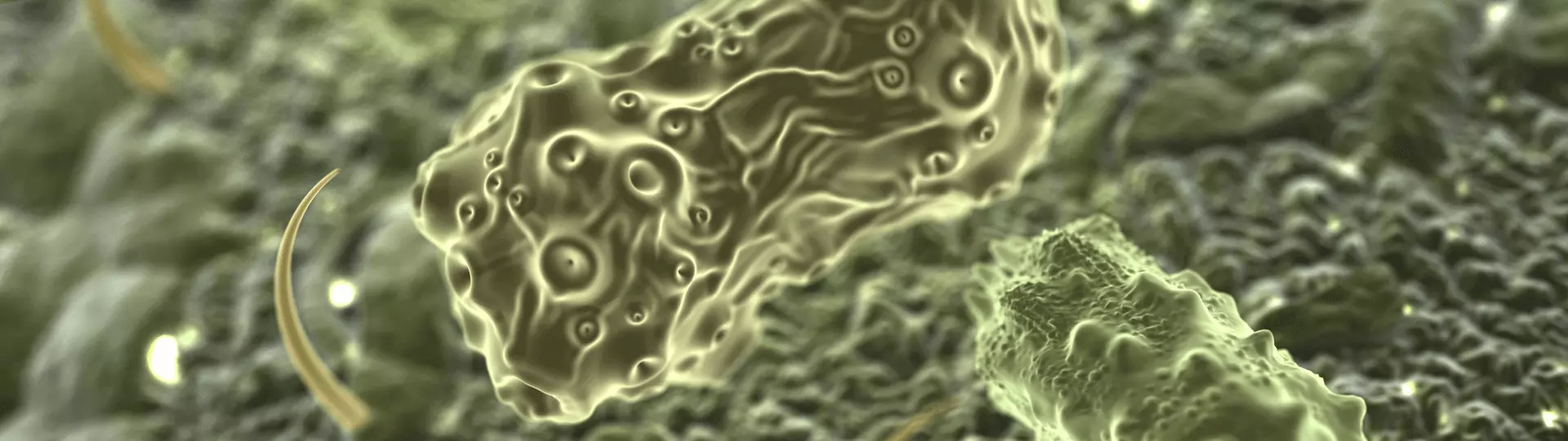 VOC Source Investigation and Remediation - Cameron-Cole