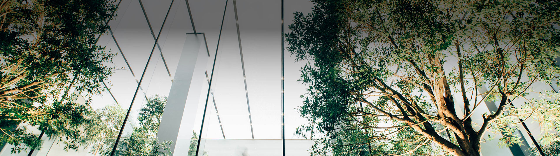 Corporate Environmental Risk Management - Cameron-Cole